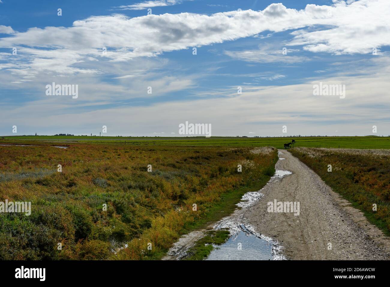 Amrum germany boardwalk amrum hi-res stock photography and images - Alamy