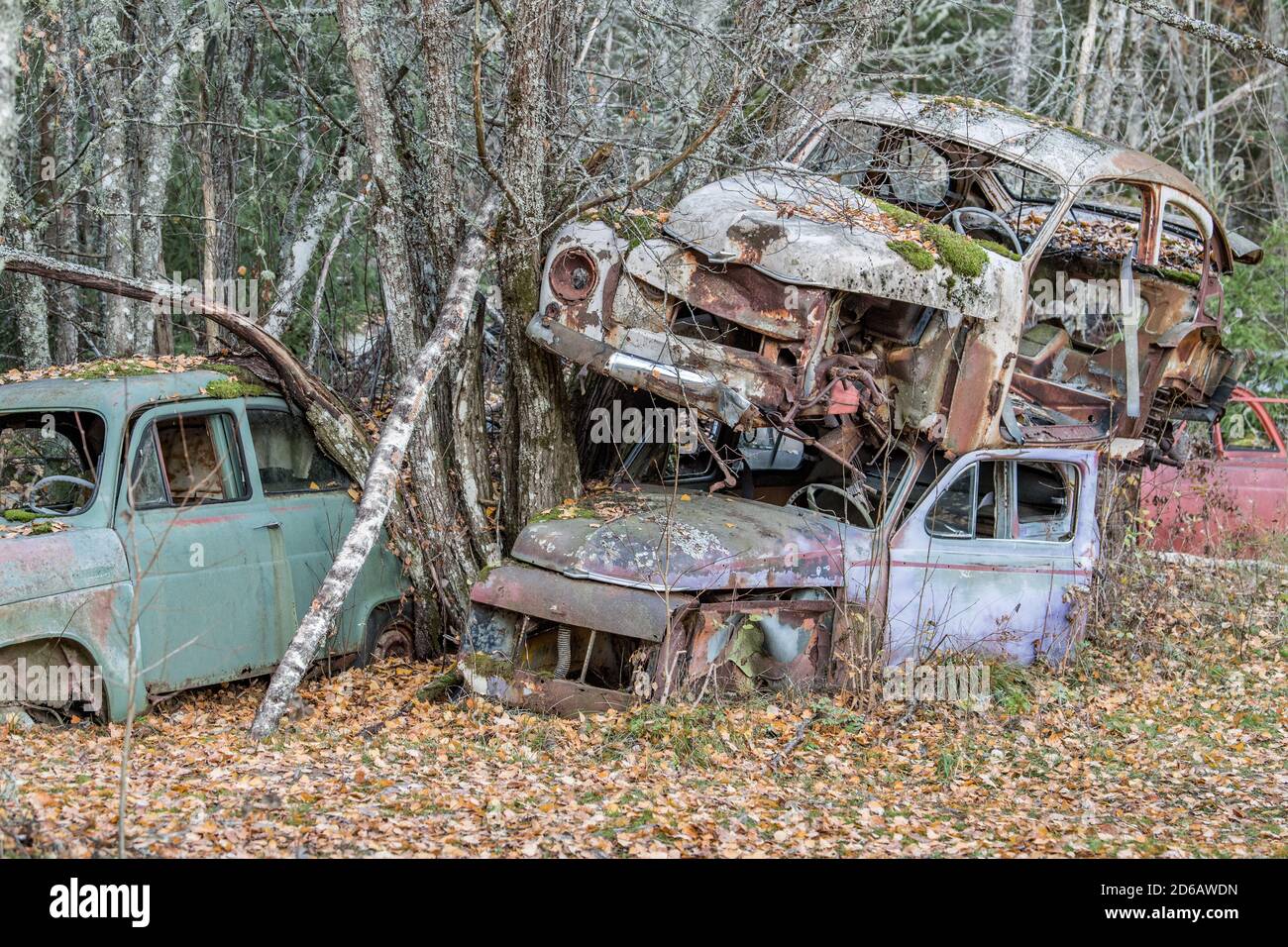 Car cemetery during autumn hi-res stock photography and images - Alamy