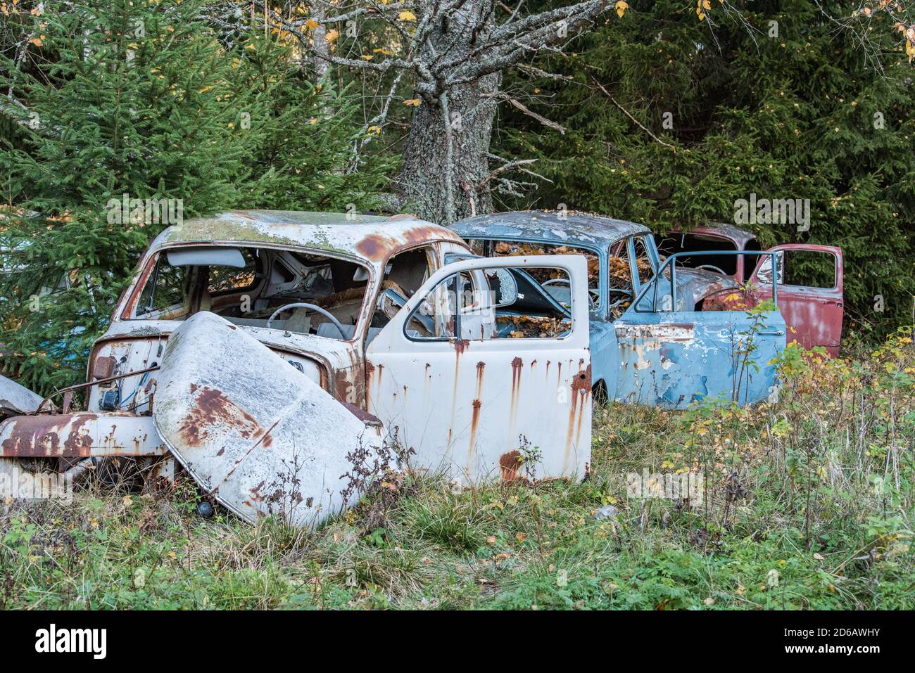 Car cemetery during autumn in Sweden Stock Photo - Alamy