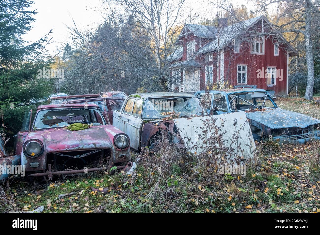 Car cemetery during autumn in Sweden Stock Photo - Alamy