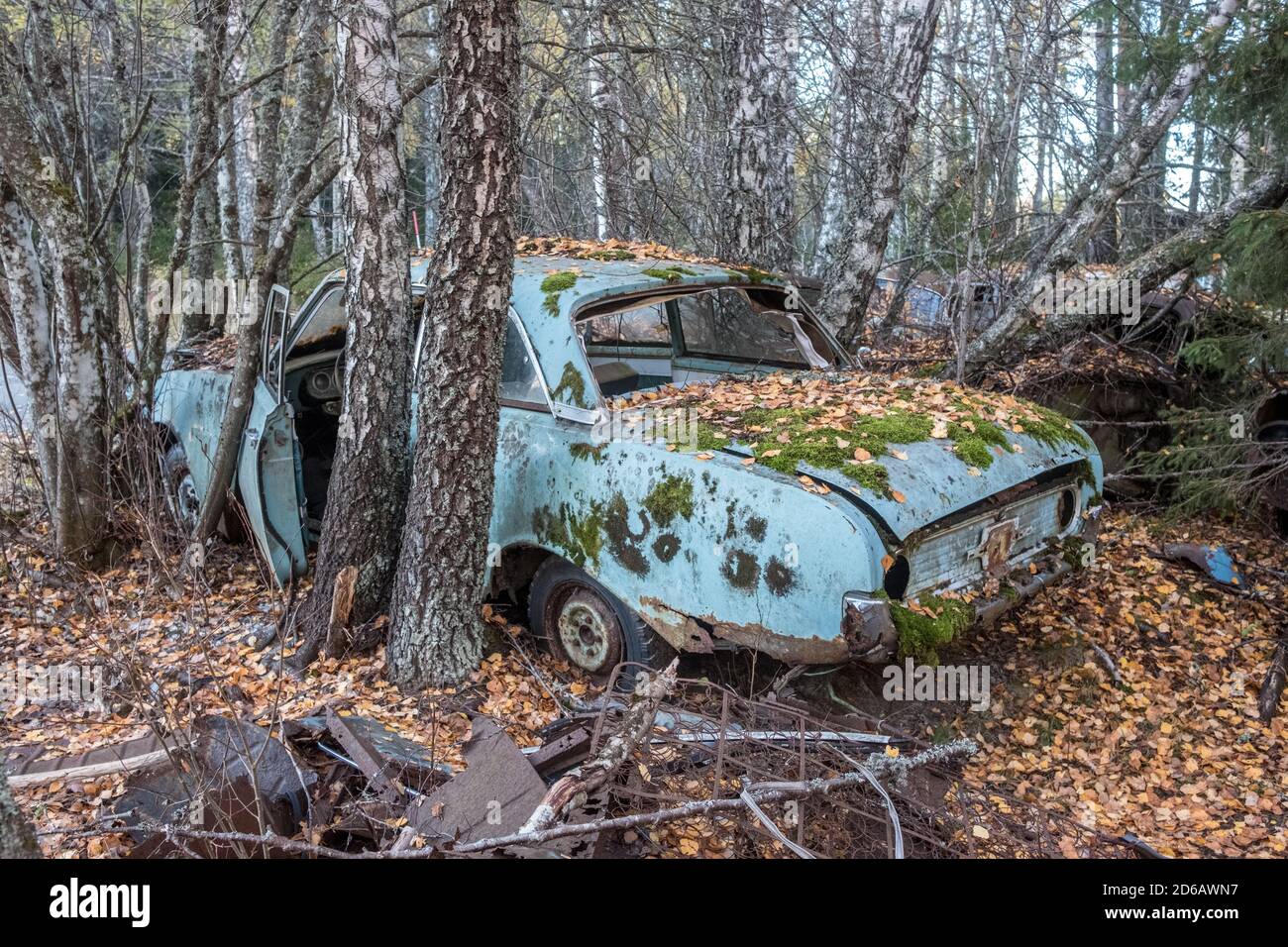 Car cemetery during autumn hi-res stock photography and images - Alamy