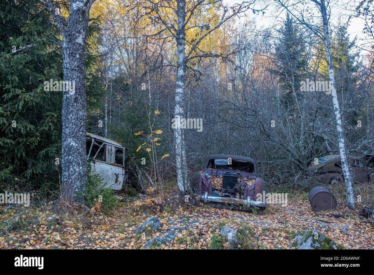 Car cemetery during autumn hi-res stock photography and images - Alamy