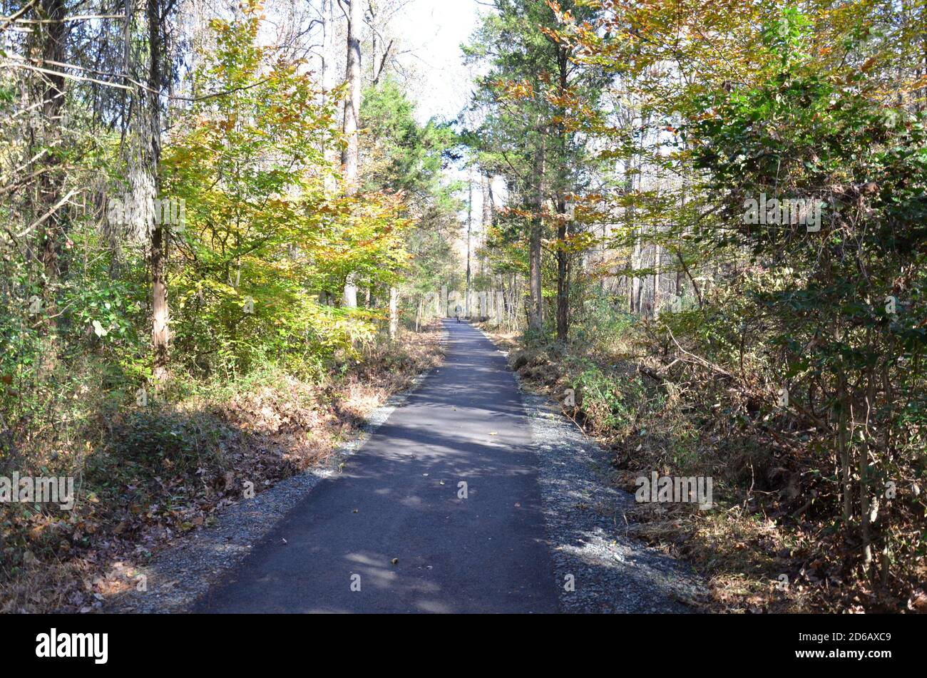 Autumn park scene with a paved walkway Stock Photo - Alamy