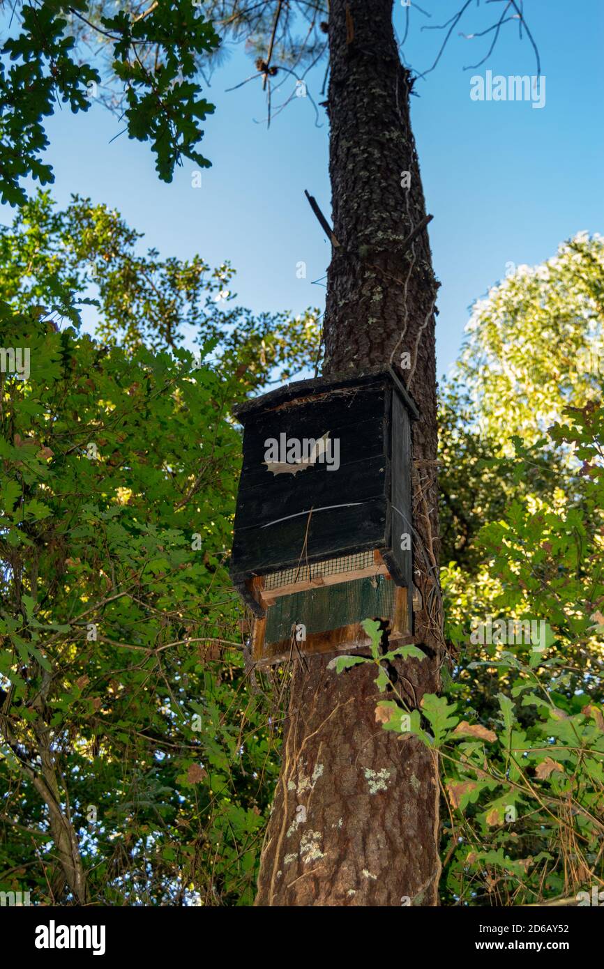 Bat boxes hi-res stock photography and images - Alamy