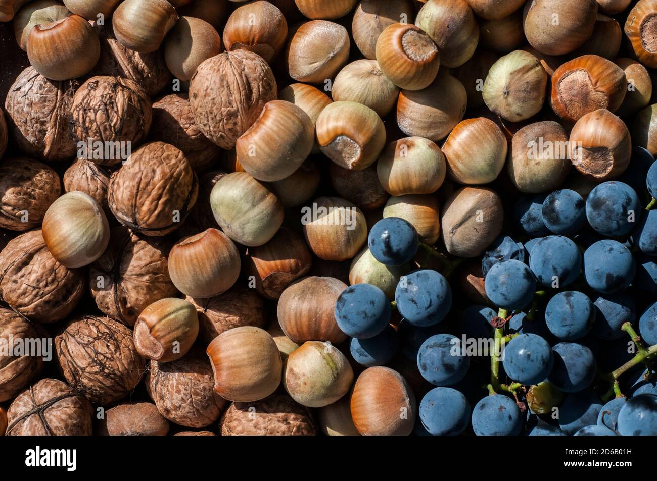 Ripe raw hazelnuts, walnuts and red grape closeup as food background ...
