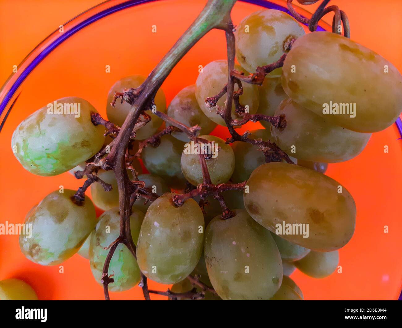 Closeup of green grapes in a transparent container on the orange ...