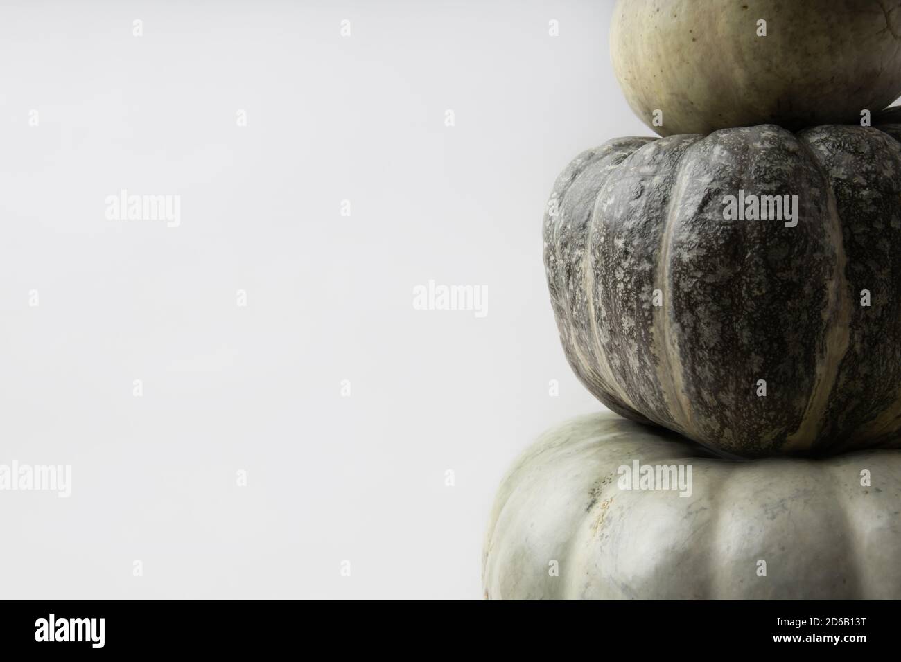 Real fresh gray pumpkin on white paper background. Side view Stock ...