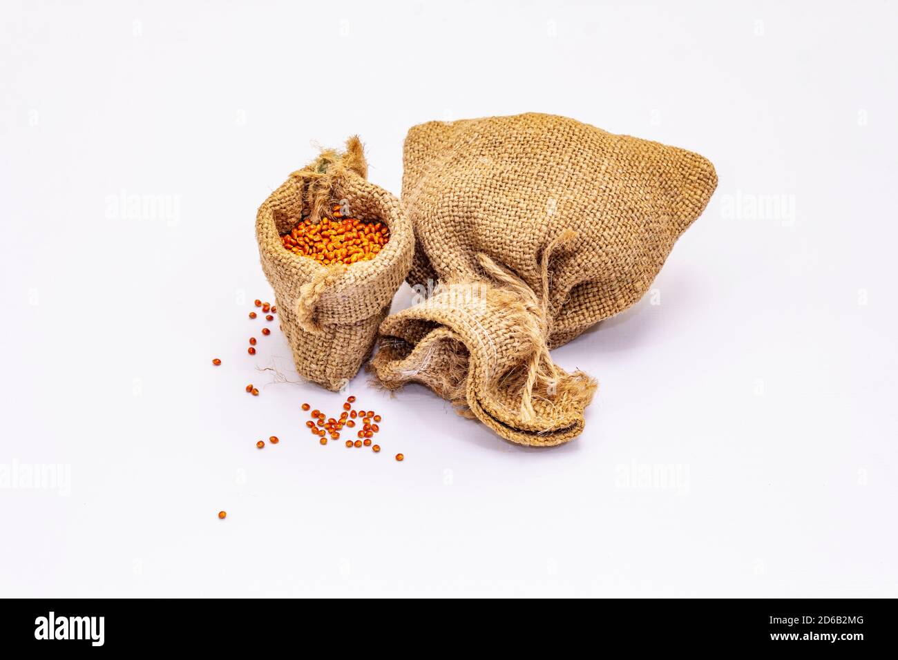 Whole unpeeled millet grains isolated on white background. A ...