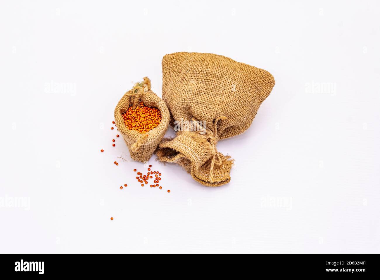 Whole unpeeled millet grains isolated on white background. A ...