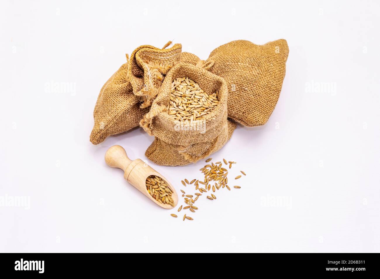 Rye grains isolated on white background. A traditional ingredient in ...
