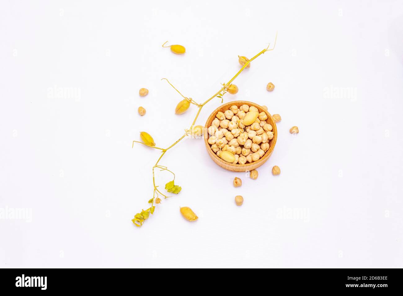 Dry chickpeas and its sprig with pods isolated on white. A traditional ...