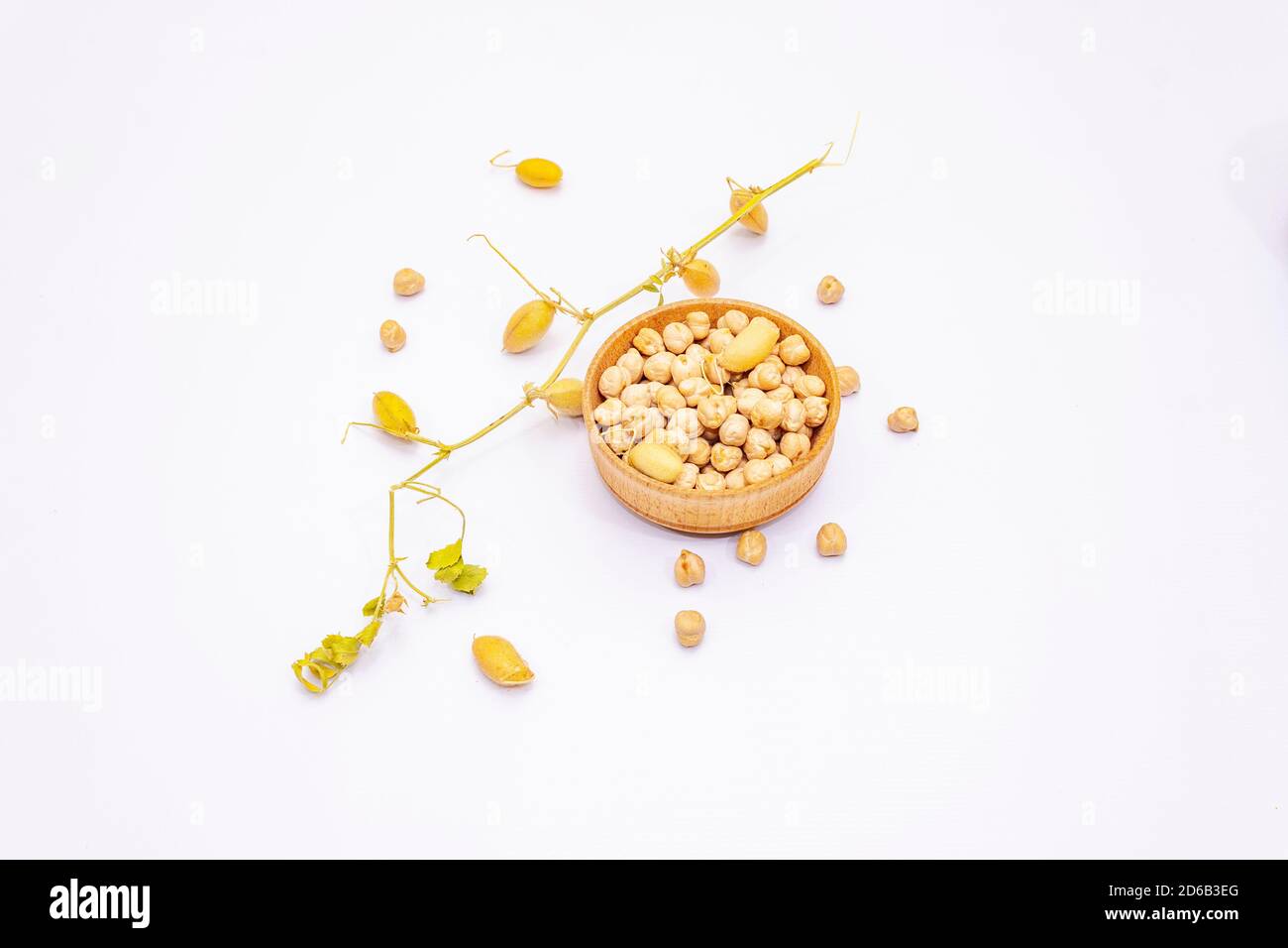 Dry chickpeas and its sprig with pods isolated on white. A traditional ...