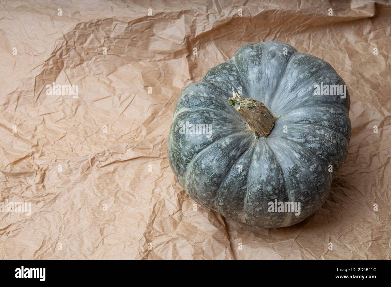 Real fresh gray pumpkin on paper background with fabric drapery Stock ...