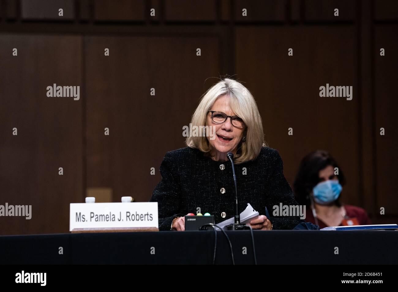 Pamela J. Roberts, an American Bar Association representative, speaks ...