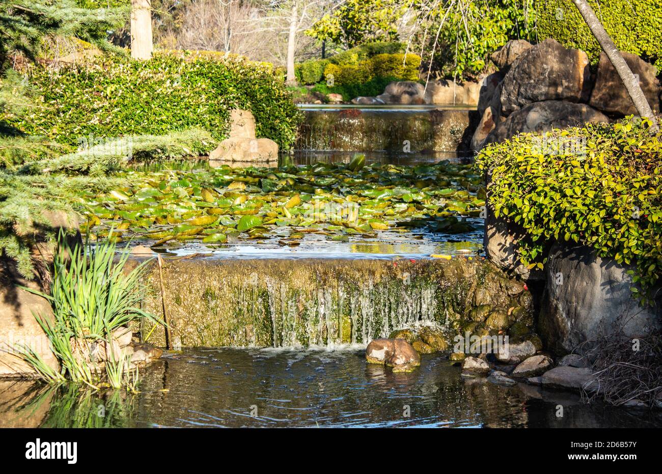 Lily waterfalls hi-res stock photography and images - Alamy