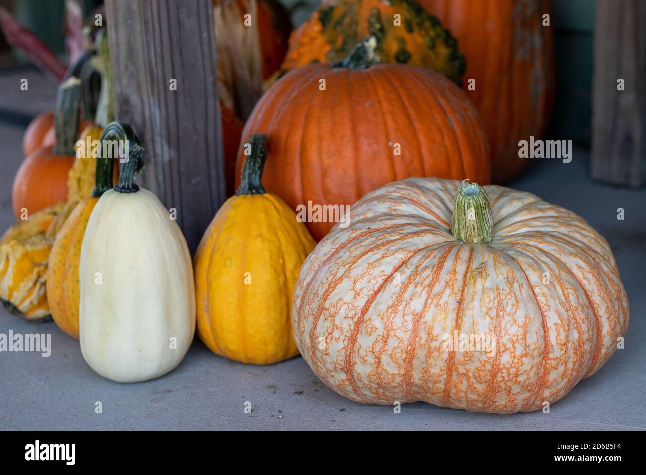 Front View of Farmers Market group of pumpkins . High quality photo ...
