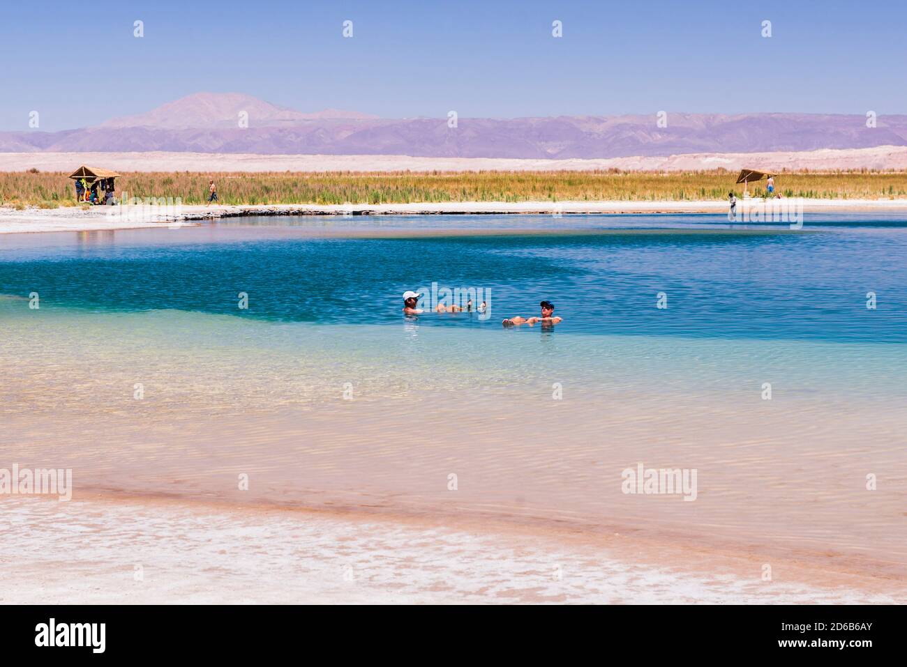 Laguna Cejar (aka floating salt lake lagoon), Atacama Desert, North ...