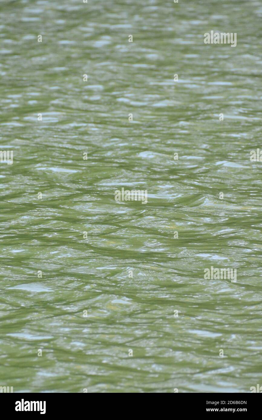 Water Pattern Texture Stock Photo - Alamy