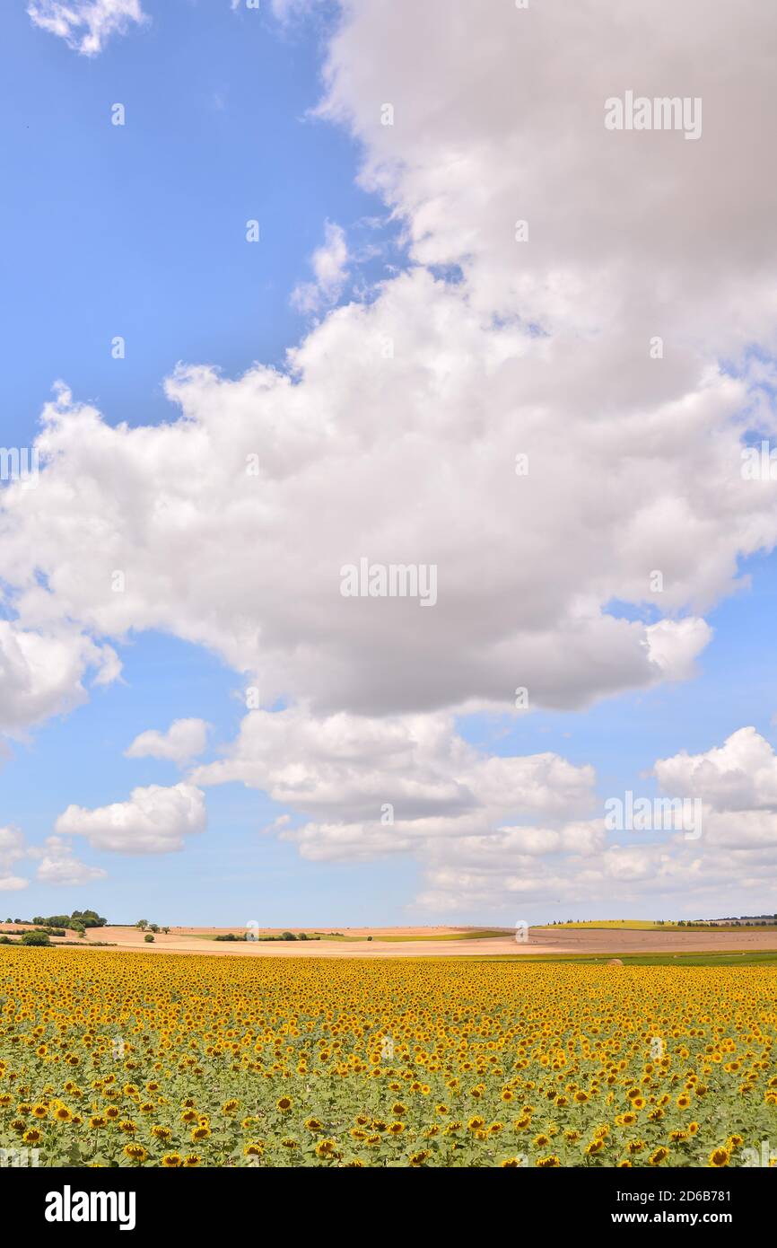 European natural countryside Stock Photo - Alamy