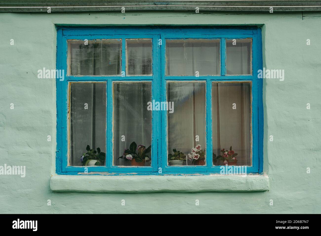 Blue wooden window of an old private house, whose walls are painted in ...