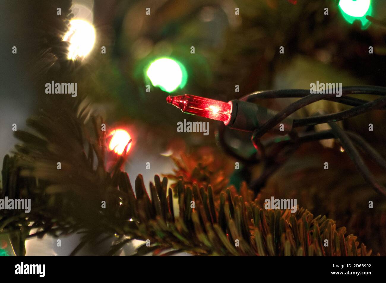 Detailed view, macroophotography of a red holiday string light bulb on ...