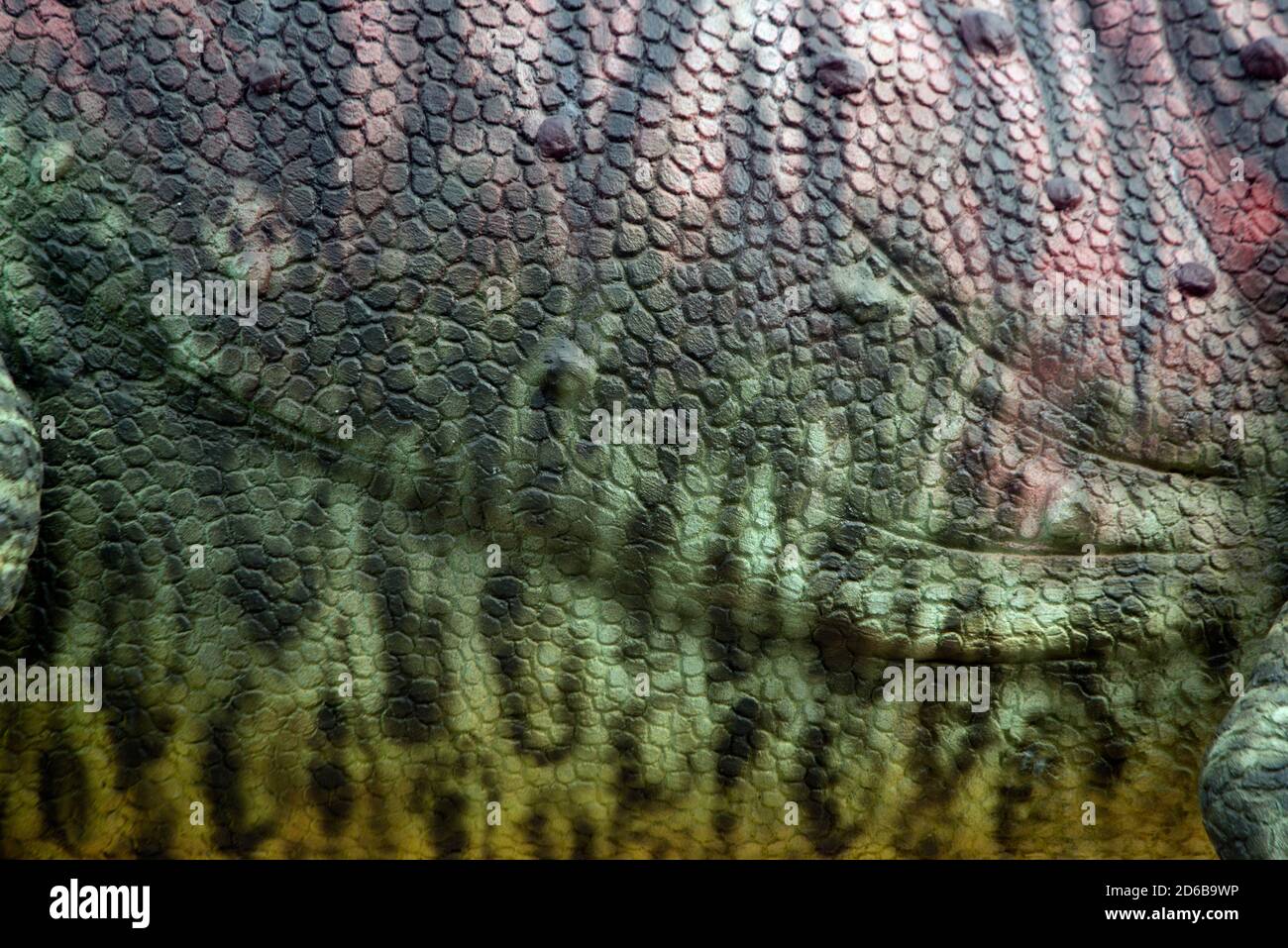 Skin texture dinosaur hi-res stock photography and images - Alamy