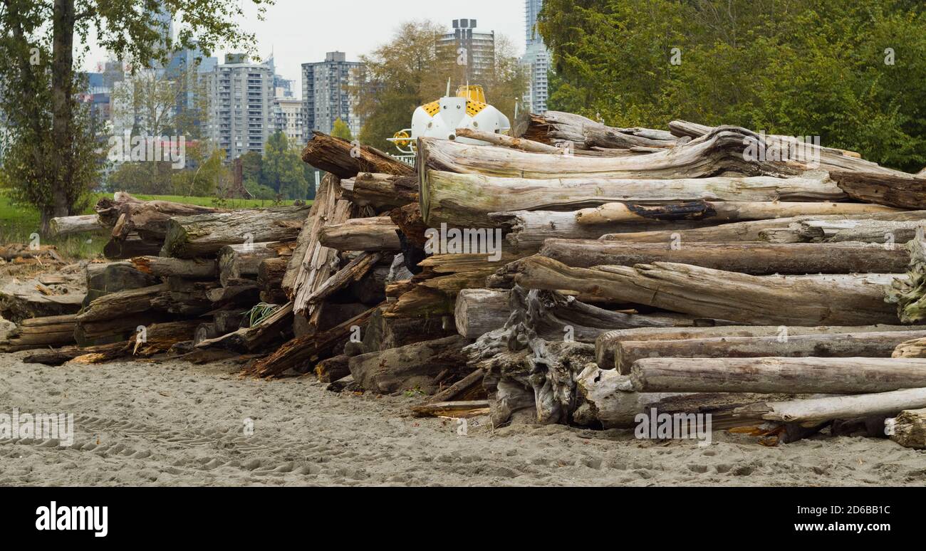 Side view of stacks of logs Stock Photo - Alamy