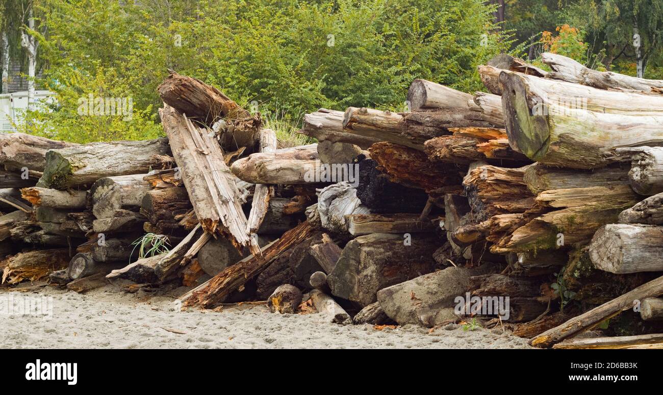 Side view of stacks of logs Stock Photo - Alamy