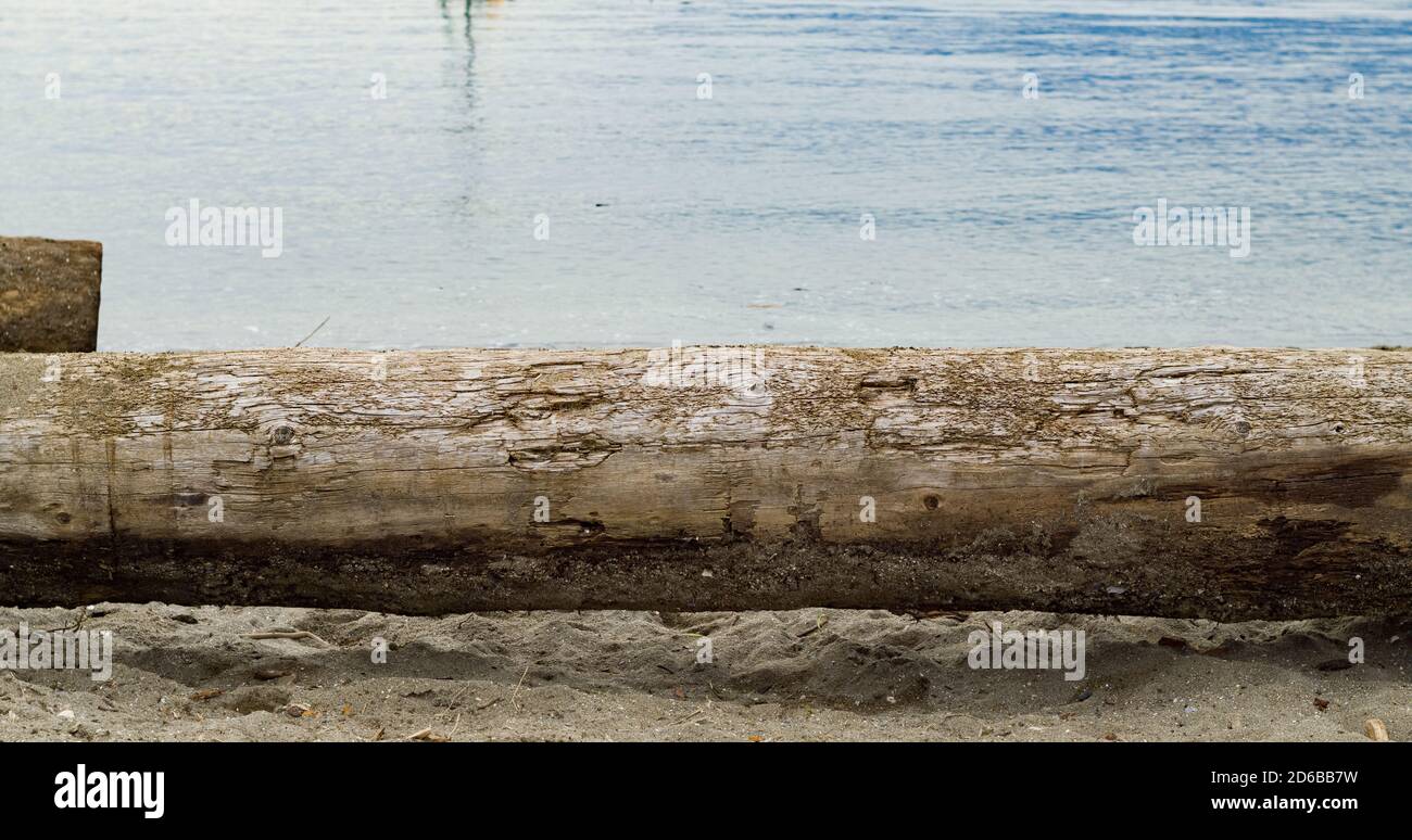 Log on beach with water behind Stock Photo - Alamy