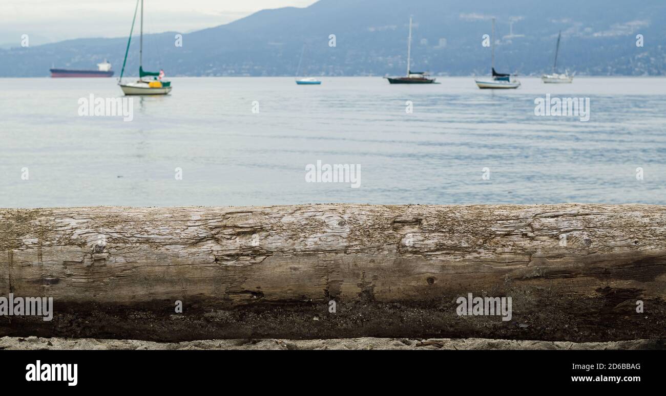 Log boats hi-res stock photography and images - Alamy