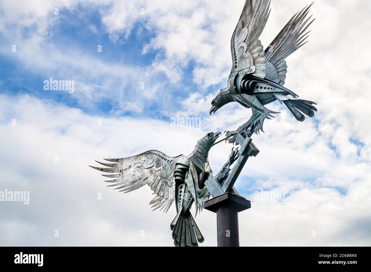 British buzzards hi-res stock photography and images - Alamy
