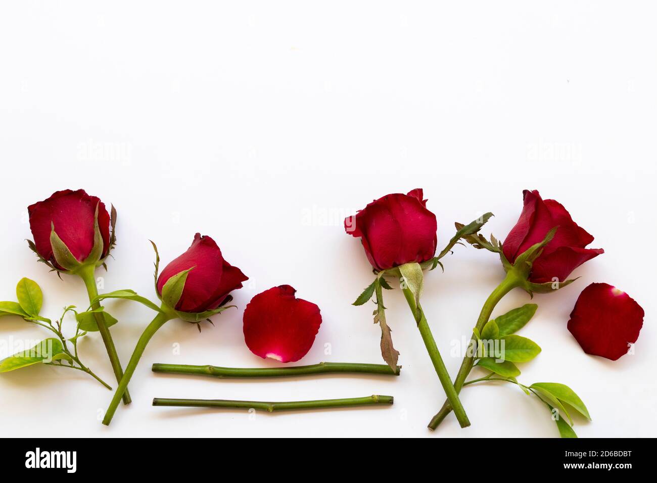 colorful red rose flowers arrangement flat lay postcard style on ...