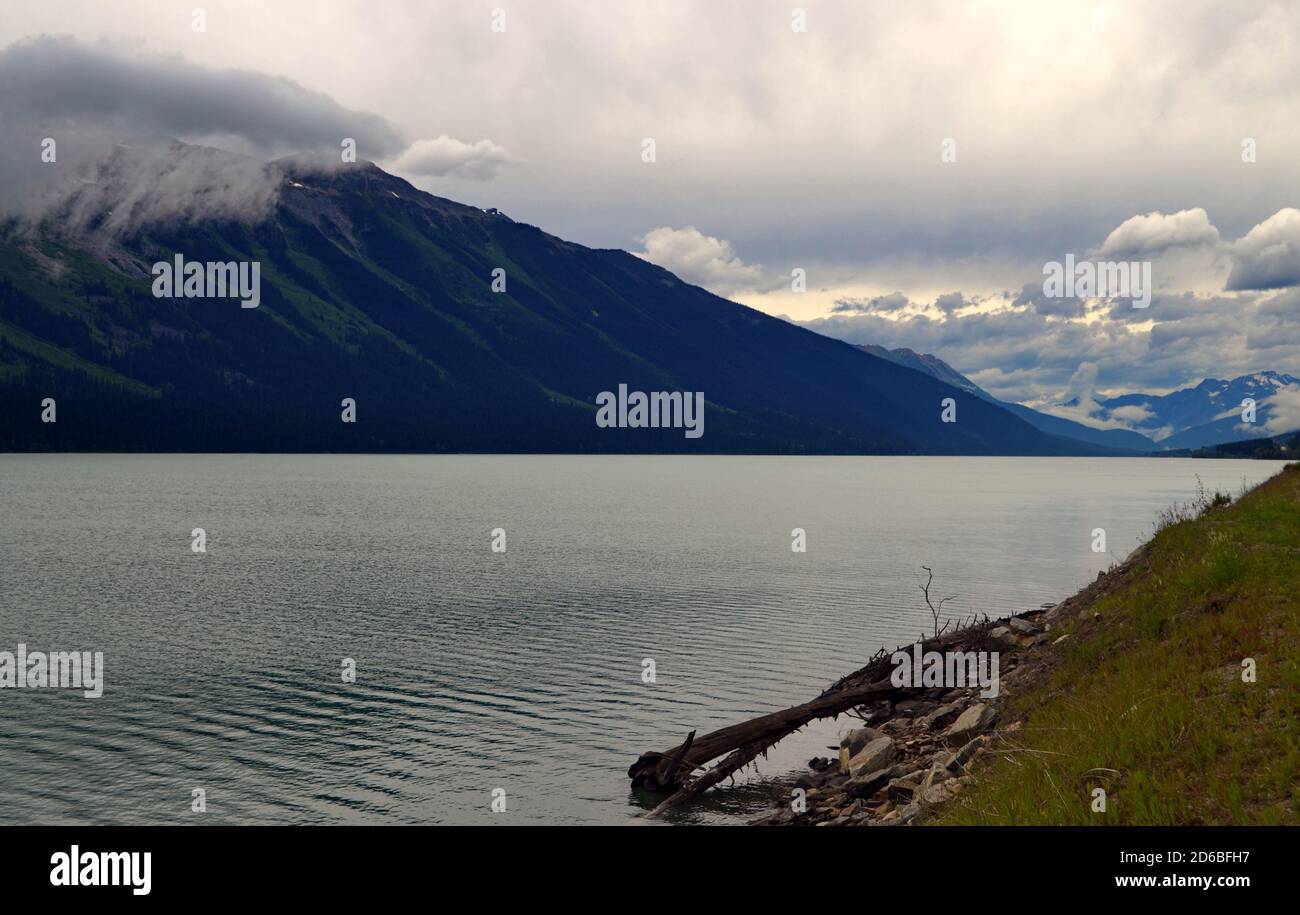 Yellowhead lake hi-res stock photography and images - Alamy
