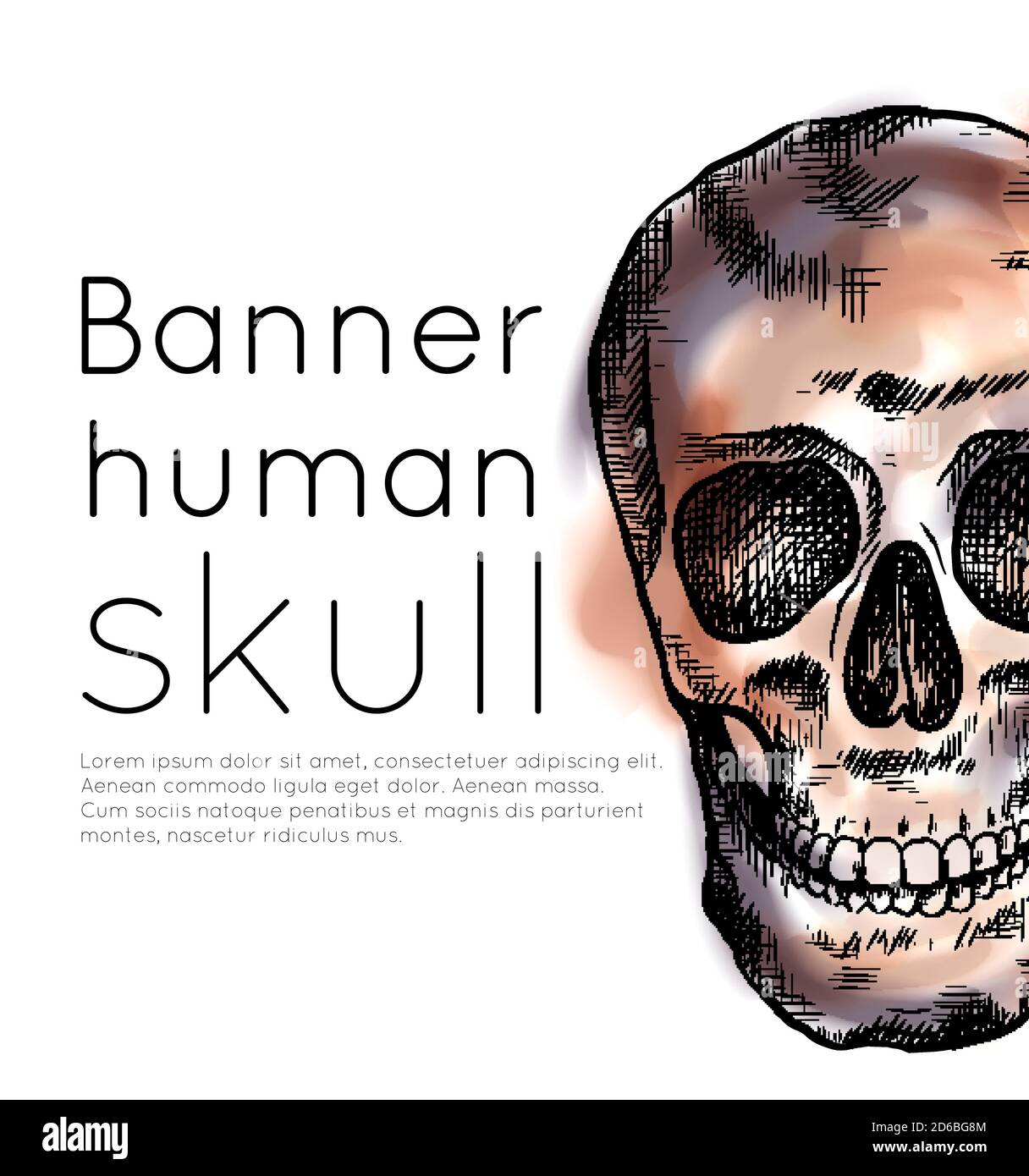 Banner with drawing of human skull with hatching, watercolor color ...