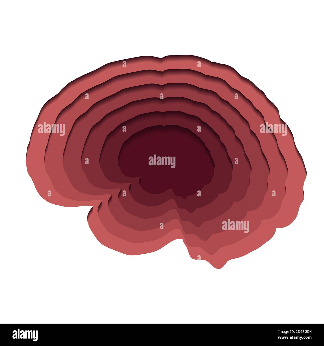 Layered human brain cut out of paper on white background. Paper cut ...