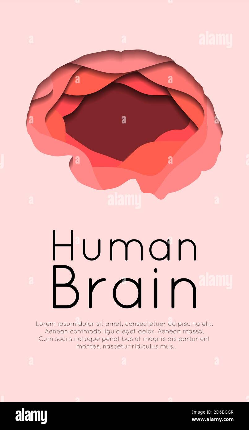 Vertical banner with layered human brain cut out of paper on pink ...