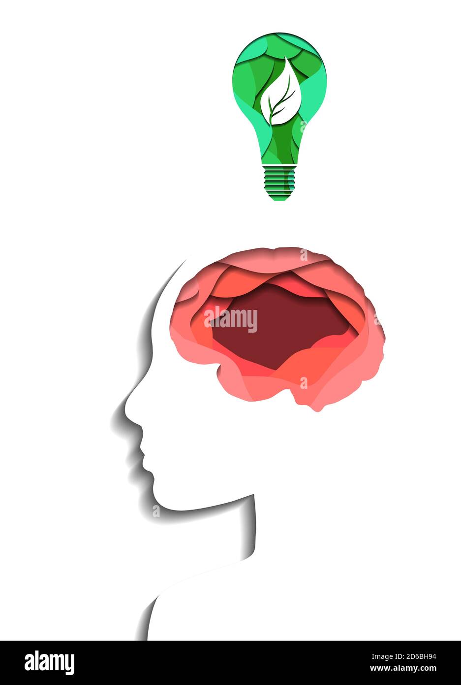 Bulb layer Cut Out Stock Images & Pictures - Alamy