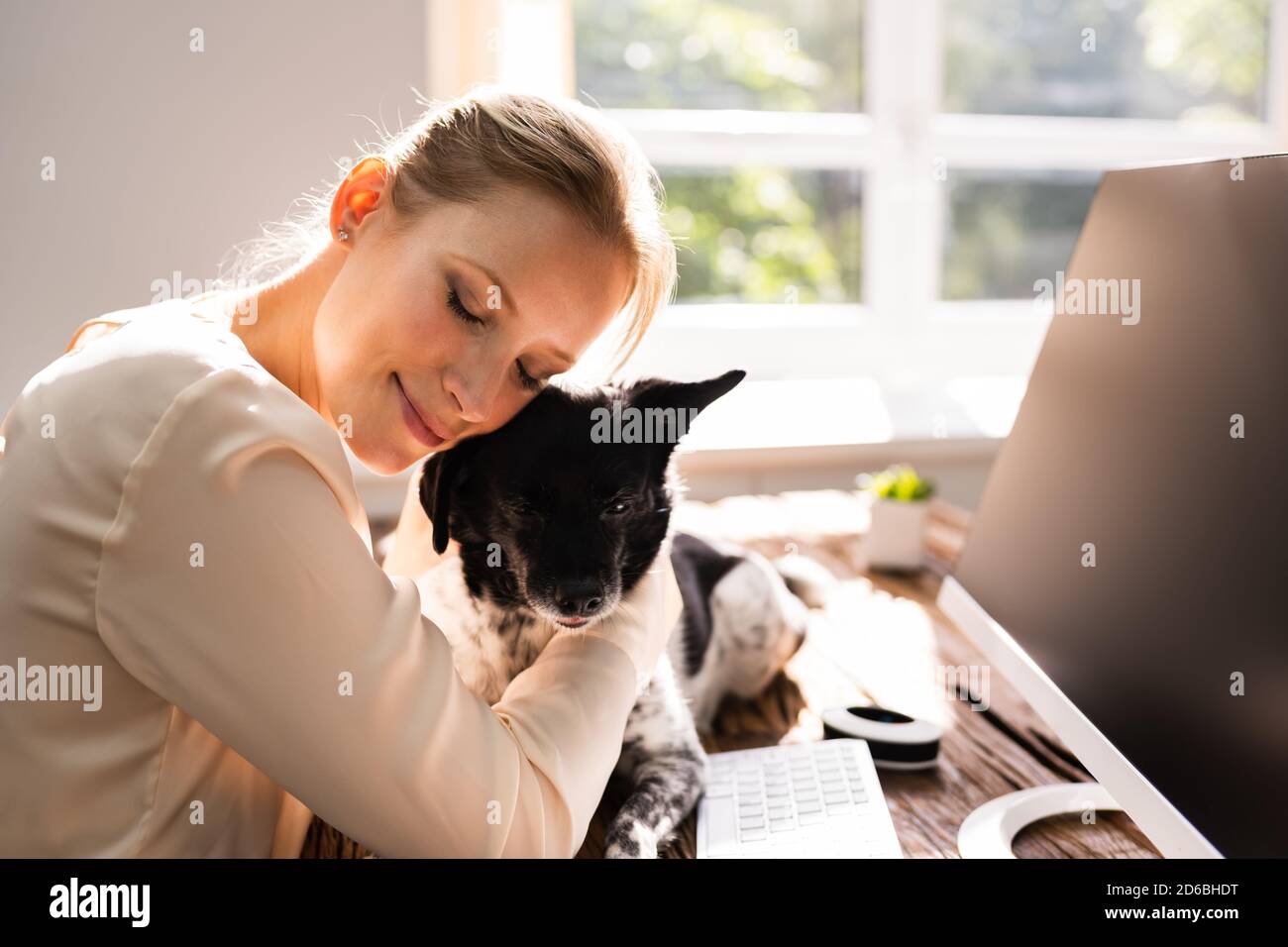 Working from home with dog hi-res stock photography and images - Alamy