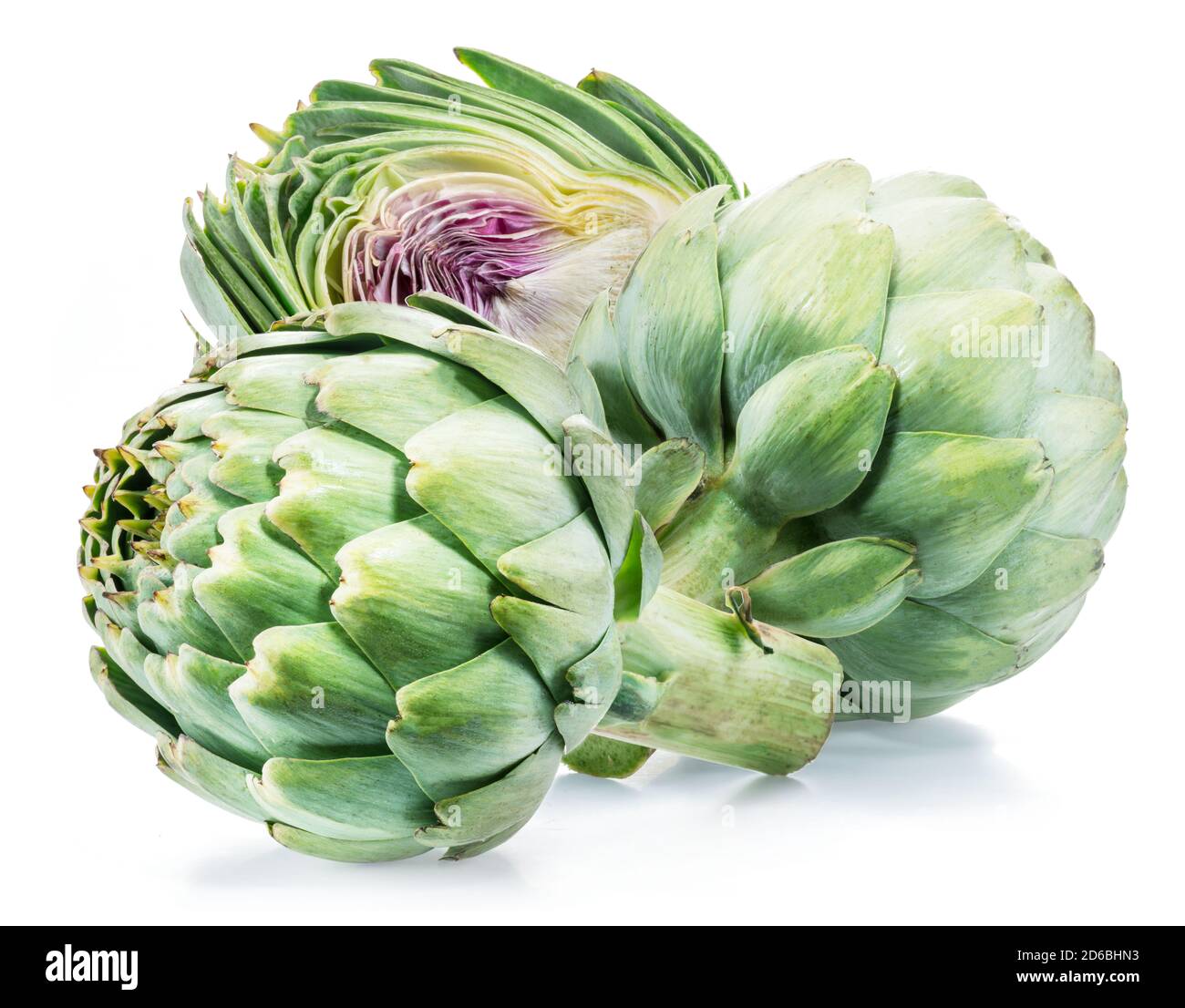 Artichoke flower edible buds isolated on white background Stock Photo ...
