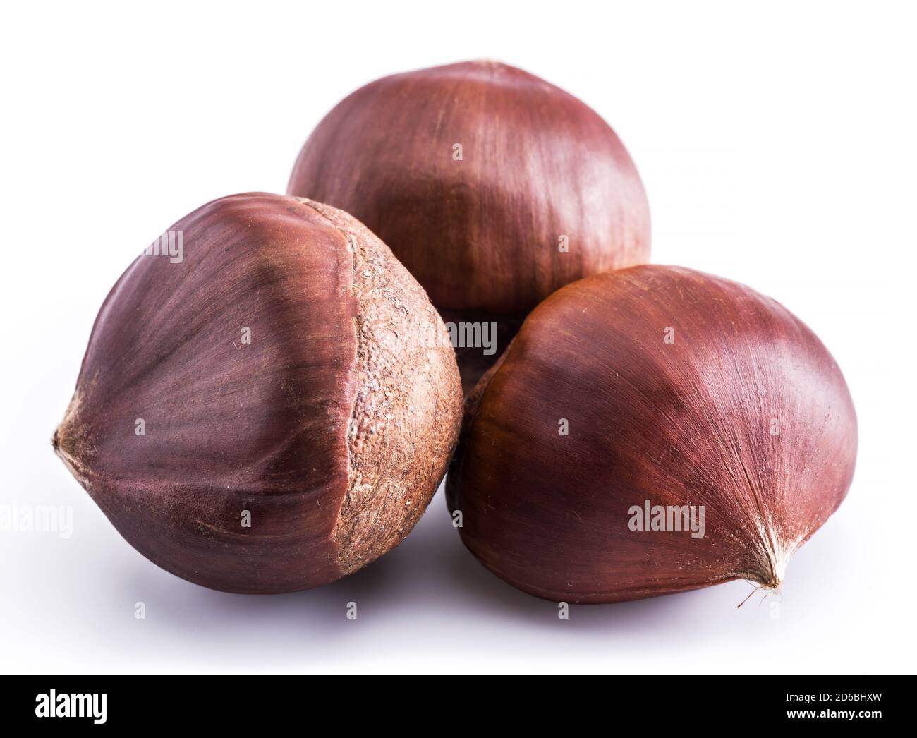 Raw peeled edible chestnut fruits isolated on white background Stock ...