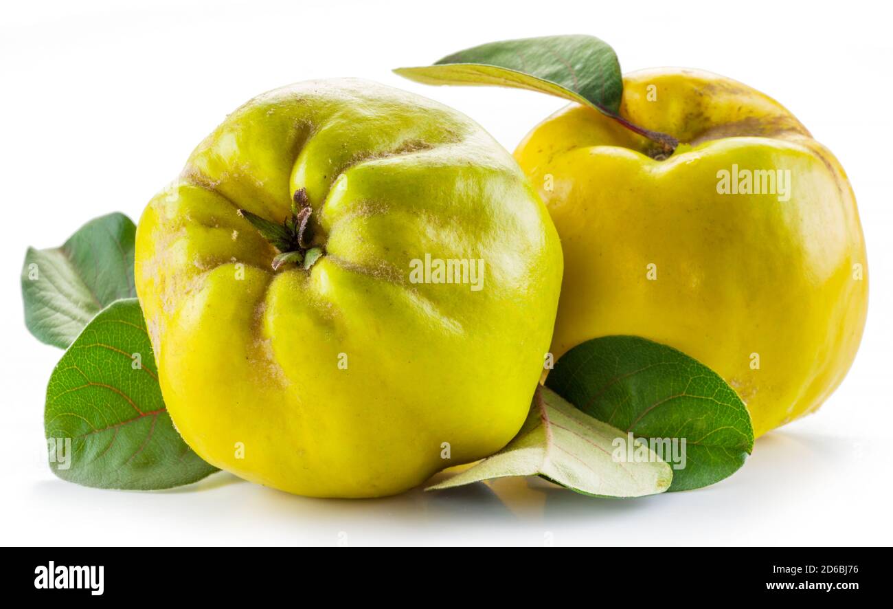 Ripe golden yellow quince fruits isolated on white background. Small ...