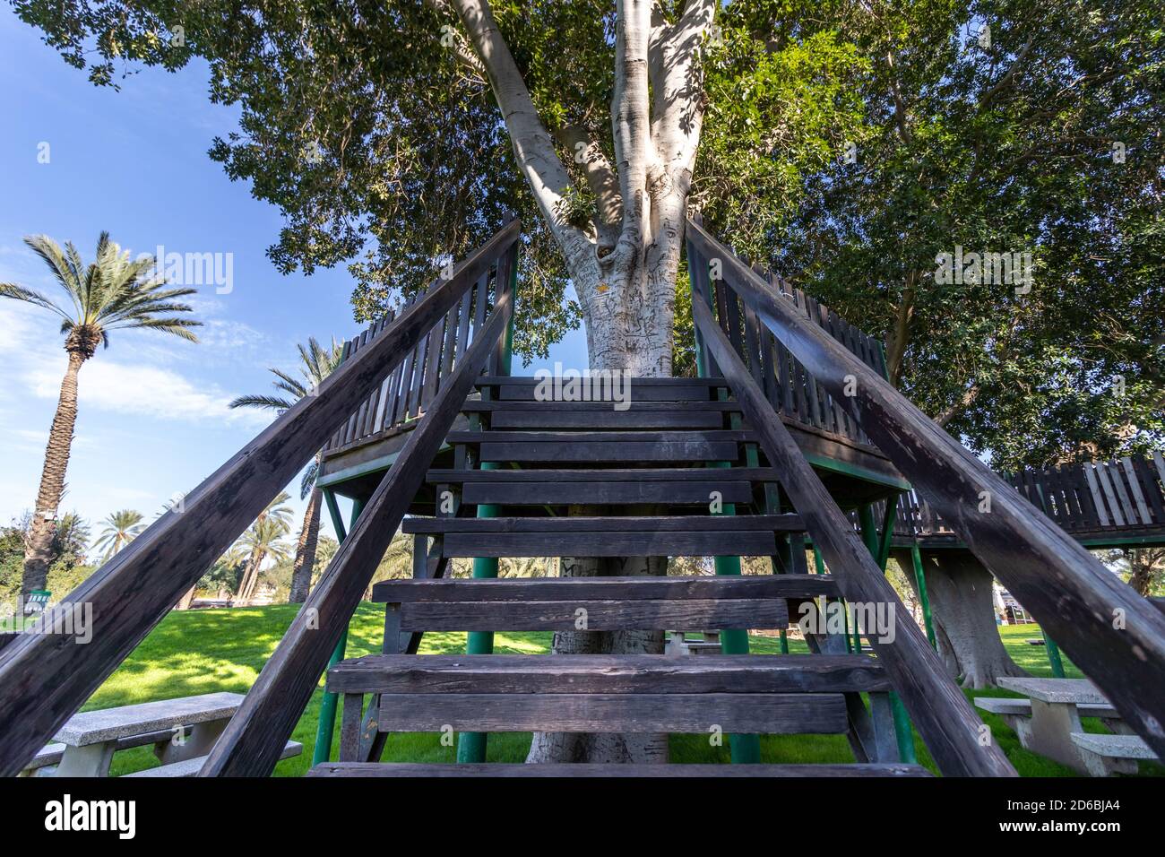 A house on the tree with wooden stairs and paths, against a background ...