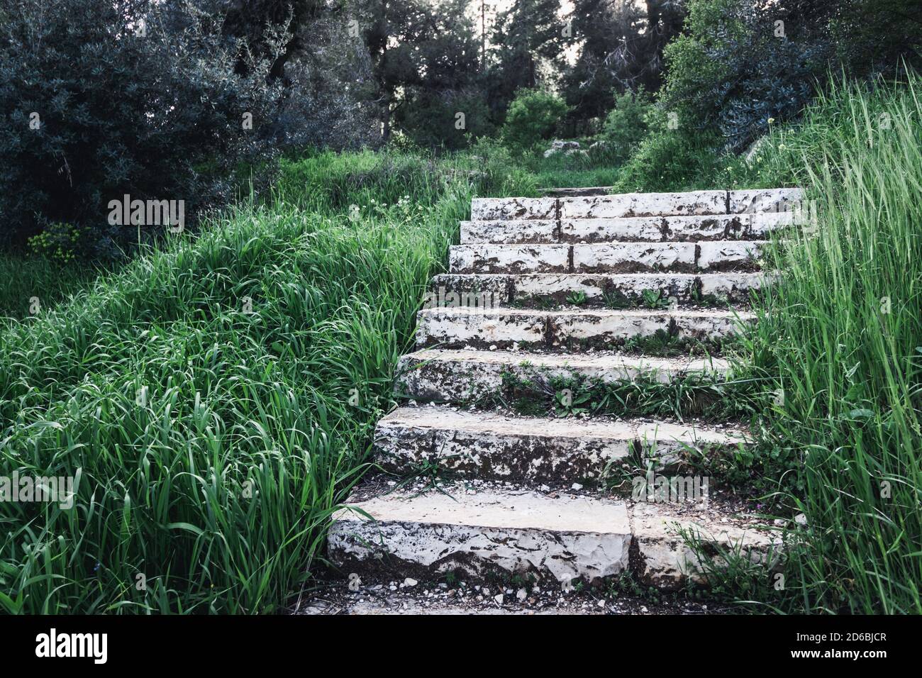 Ancient stone steps in the Jerusalem Forest, Israel Stock Photo - Alamy