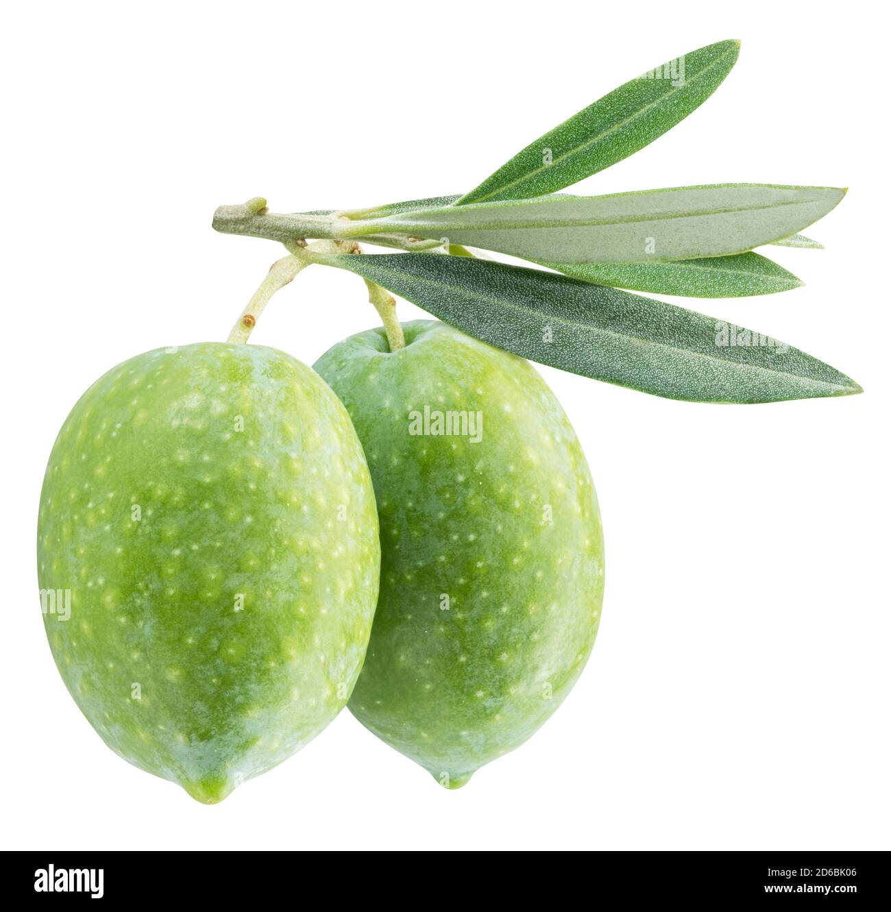 Two green natural olives isolated on a white background. Clipping path ...