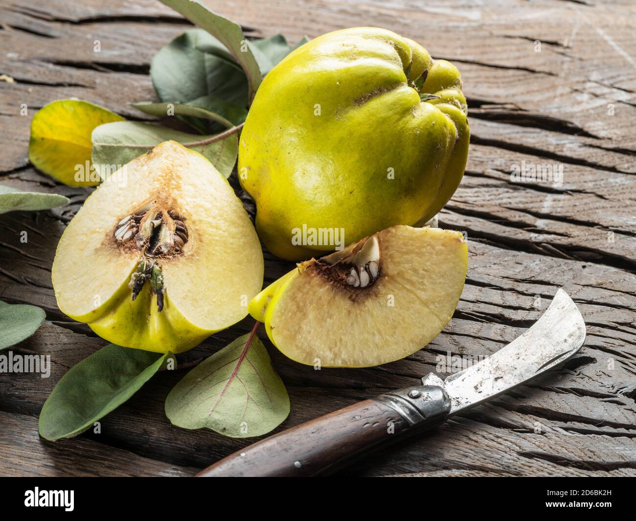 Ripe golden yellow quince fruits on wood. Organic fruits on old table ...