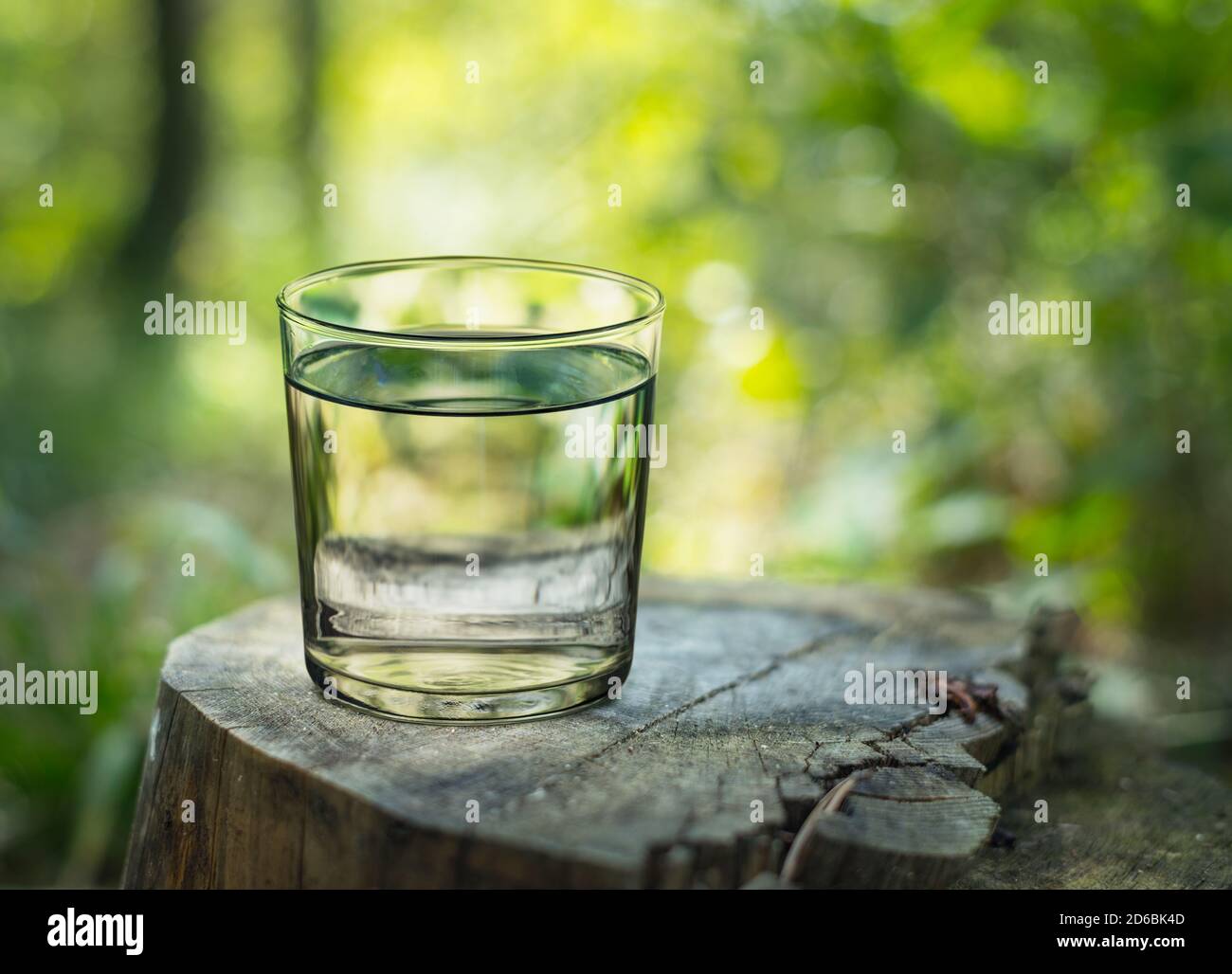 Glass of pure fresh water on the old tree stump. Green nature ...