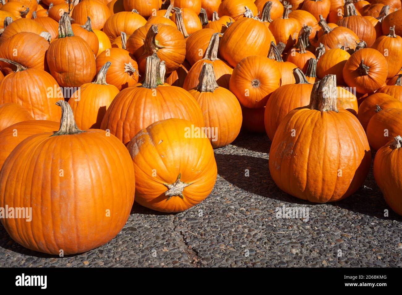 Pile pumpkins sale farm hi-res stock photography and images - Alamy