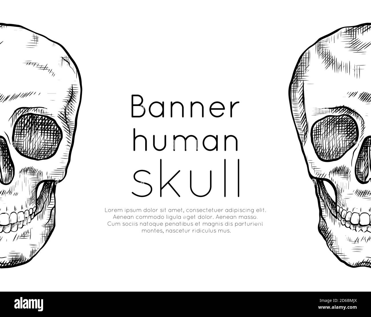 Horizontal banner with drawing of human skull with hatching and place ...