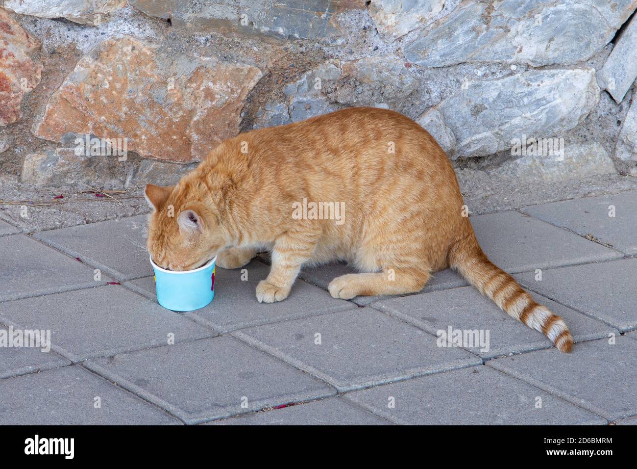 Tongue stain hi-res stock photography and images - Alamy