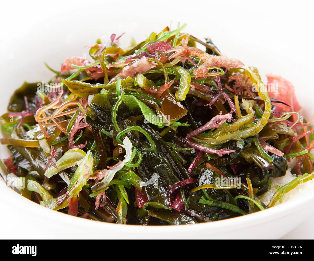 All kinds of seaweed hi-res stock photography and images - Alamy